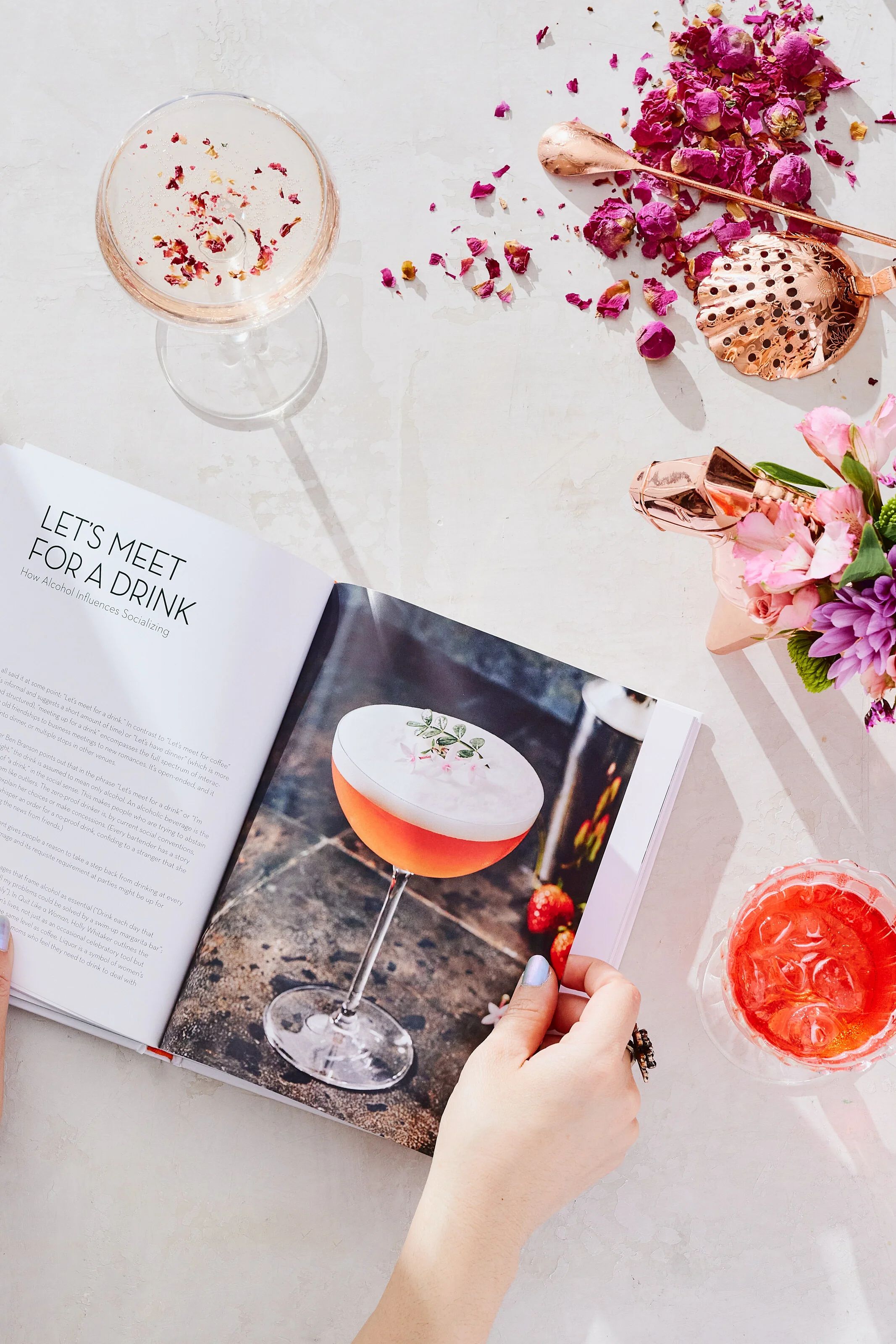 Zero Proof Cocktails by Elva Ramirez, 90 Mindful Recipes, Mocktails and More — ELVA RAMIREZ